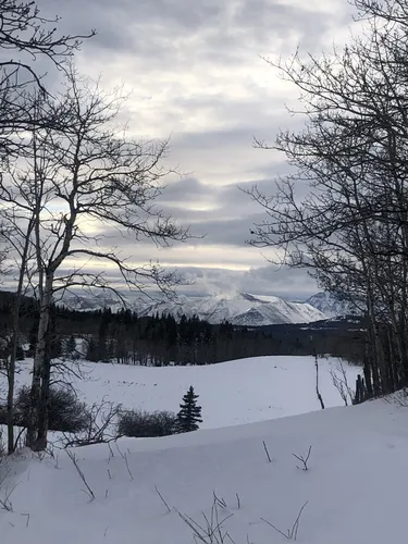 Best Hikes and Trails in Cardston County | AllTrails