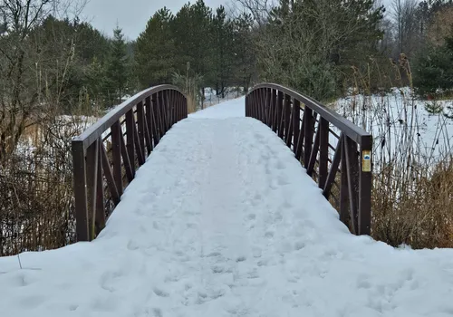 Best Hikes and Trails in Bruce Pit Dog Park | AllTrails