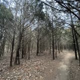 Valhalla Trail, Missouri - 156 Reviews, Map | AllTrails