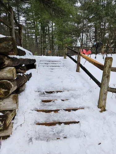 Best Hikes and Trails in Bruce Pit Dog Park | AllTrails