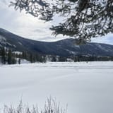 East Inlet Trail, Colorado - 1,248 Reviews, Map | AllTrails