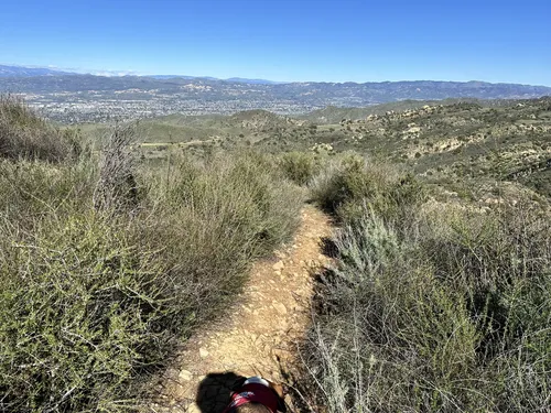 Best Forest Trails in Simi Valley | AllTrails
