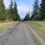 Tolt Pipeline Trail, Washington - 353 Reviews, Map | AllTrails