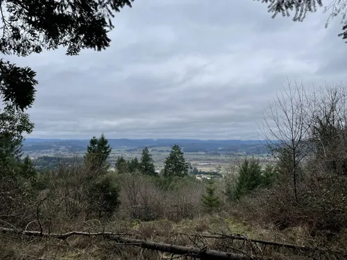 Best Hikes and Trails in Chehalem Ridge Natural Area | AllTrails