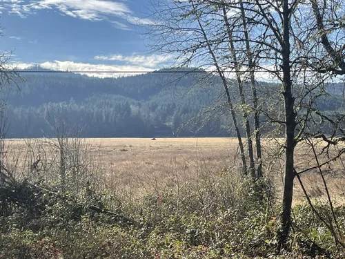 Best Hikes and Trails in Baker Bay County Park | AllTrails