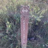 Crespi Trail, California - 224 Reviews, Map | AllTrails