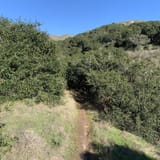 Crespi Trail, California - 210 Reviews, Map | AllTrails