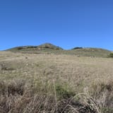 Crespi Trail, California - 224 Reviews, Map | AllTrails