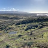 Crespi Trail, California - 224 Reviews, Map | AllTrails