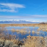 Utah Lake Shoreline, Utah - 57 Reviews, Map | AllTrails