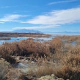 Utah Lake Shoreline, Utah - 57 Reviews, Map | AllTrails