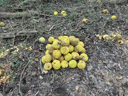 Best Hikes and Trails in Wye Island Natural Resource Management Area ...