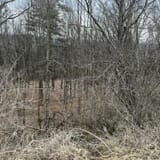 Edgecliff Loop, New York - 327 Reviews, Map | AllTrails