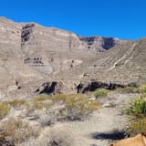 Dog Canyon Trail, New Mexico - 414 Reviews, Map | AllTrails