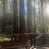 Washington Park Loop, Oregon - 1,549 Reviews, Map | AllTrails