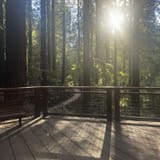 Washington Park Loop, Oregon - 1,549 Reviews, Map | AllTrails