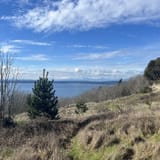 Discovery Park and Lighthouse Loop, Washington - 6,029 Reviews, Map ...