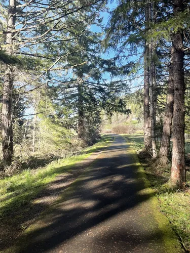 Best Hikes and Trails in Baker Bay County Park | AllTrails