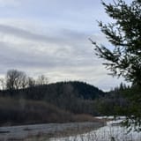 Chehalis River Discovery Trail, Washington - 183 Reviews, Map | AllTrails