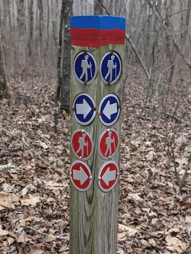 Best Hikes and Trails in Blackbird State Forest | AllTrails