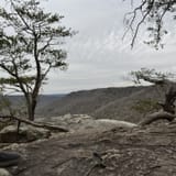 Fiery Gizzard Loop, Tennessee - 1,139 Reviews, Map | AllTrails