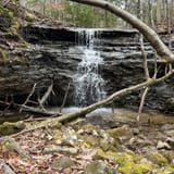 Fiery Gizzard Loop, Tennessee - 1,139 Reviews, Map | AllTrails