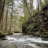 Fiery Gizzard Loop, Tennessee - 1,139 Reviews, Map | AllTrails