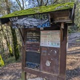Purdon Crossing, California - 282 Reviews, Map | AllTrails