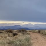 Yellow Knolls Trail, Utah - 437 Reviews, Map | AllTrails