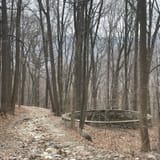 Bull Hill Full Loop, New York - 5,307 Reviews, Map | AllTrails