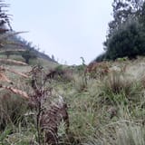 Mount Butak, East Java, Indonesia - 58 Reviews, Map | AllTrails
