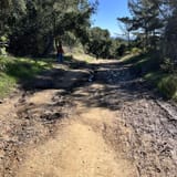 Stream, East Ridge, and Canyon Loop, California - 1,783 Reviews, Map ...