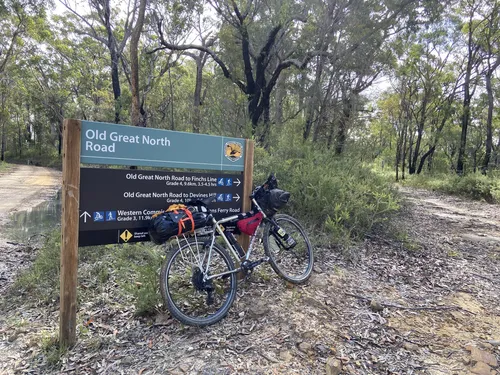 10 Best Hikes and Trails in Dharug National Park | AllTrails