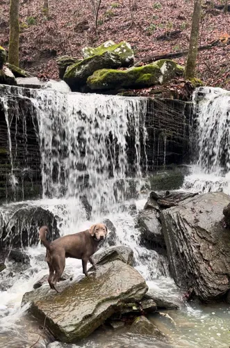 Best Hikes and Trails in Long Pool Recreation Area | AllTrails