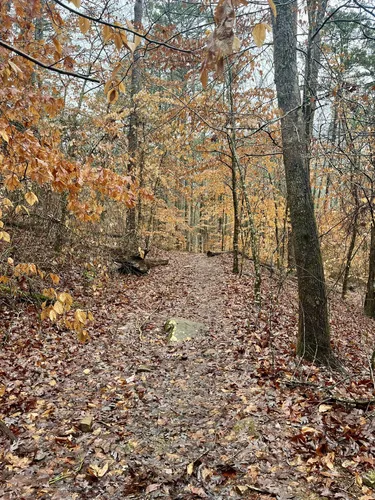 Best Hikes and Trails in Long Pool Recreation Area | AllTrails