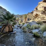 Murray Canyon Trail to Seven Falls, California - 2,329 Reviews, Map ...