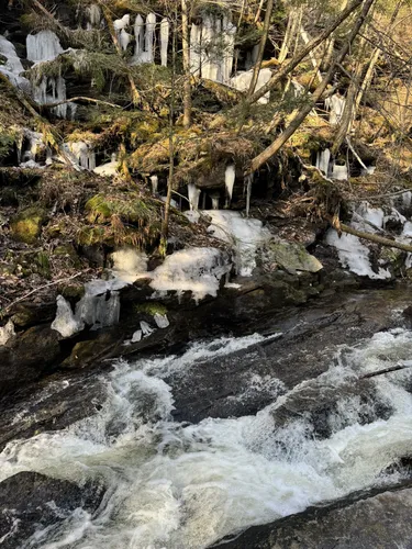 Best Hikes and Trails in Buffam Falls Conservation Area | AllTrails