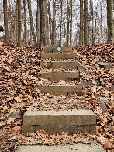 Best Hikes and Trails in Blauvelt State Park | AllTrails