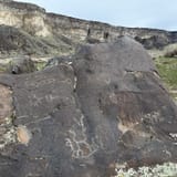 Snake River and Swan Falls- Wees Bar Petroglyphs Trail, Idaho - 199 ...
