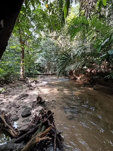 Best Hikes and Trails in Taman Eko Rimba Sungai Tekala | AllTrails