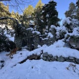 Ice House Canyon Trail, California - 1,691 Reviews, Map | AllTrails