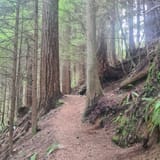 Capilano Canyon and Upper Capilano Pacific Trail Loop, British Columbia ...