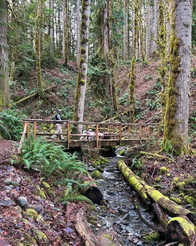 Best Hikes and Trails in Dosewallips State Park | AllTrails