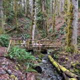 Maple Valley Loop, Washington - 230 Reviews, Map | AllTrails