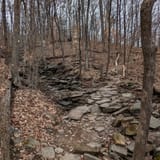 High Rocks, Pennsylvania - 2,858 Reviews, Map | AllTrails