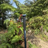 Mount Angsi, Negeri Sembilan, Malaysia - 782 Reviews, Map | AllTrails