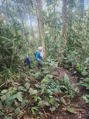 Best Hikes and Trails in Hutan Rizab Kampar | AllTrails