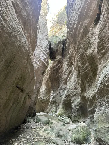 Best Forest Trails in Peyia | AllTrails