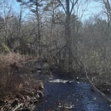 Plain Road, Breakheart Pond Trail, and Sand Hill Trail Loop, Rhode ...