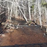 Plain Road, Breakheart Pond Trail, and Sand Hill Trail Loop, Rhode ...